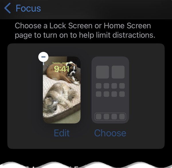How to Use iPhone Focus Mode to Receive Important Info Yet Skip ...